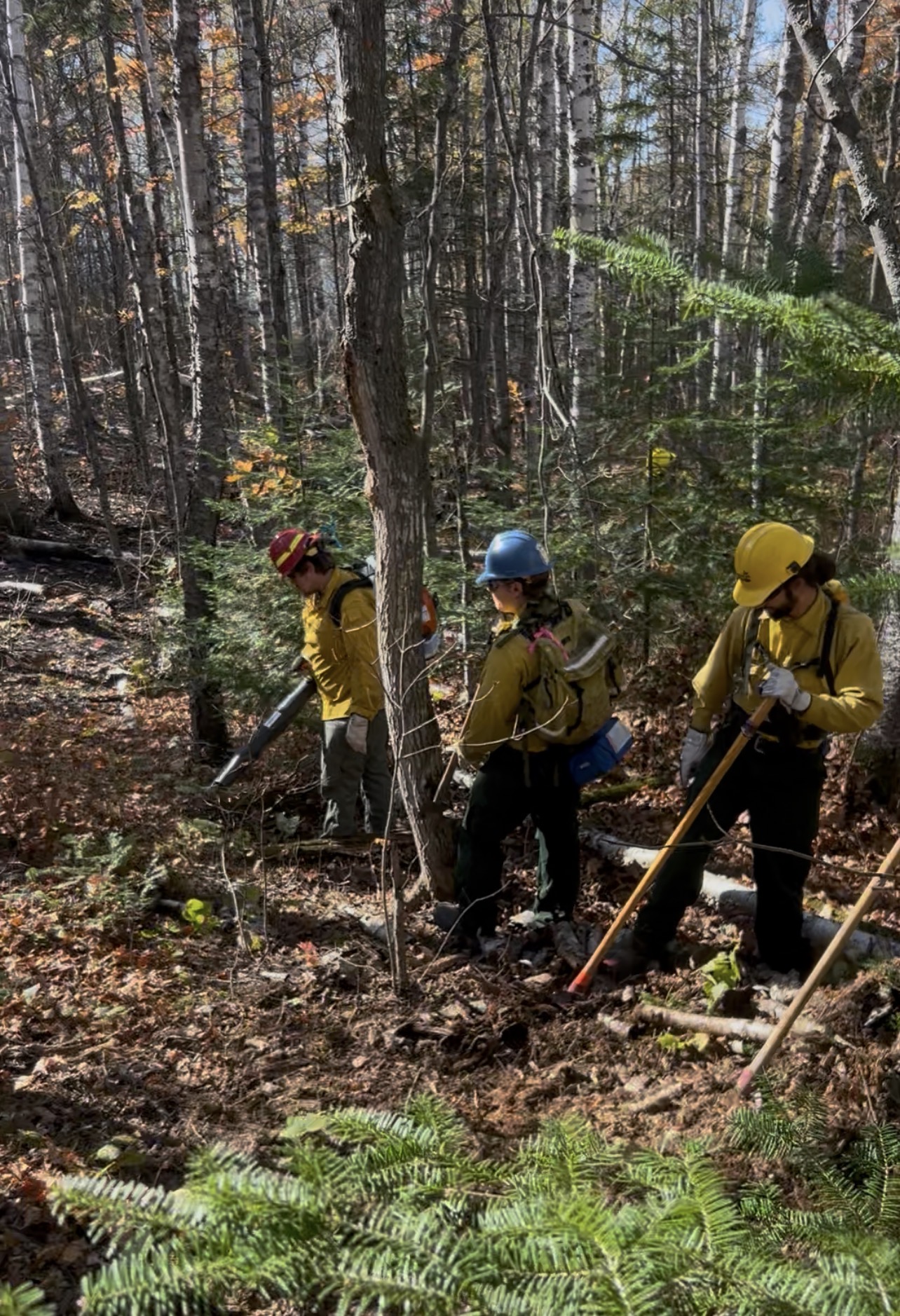 Crosby Fire Update 10.14.2025 – MNICS.org